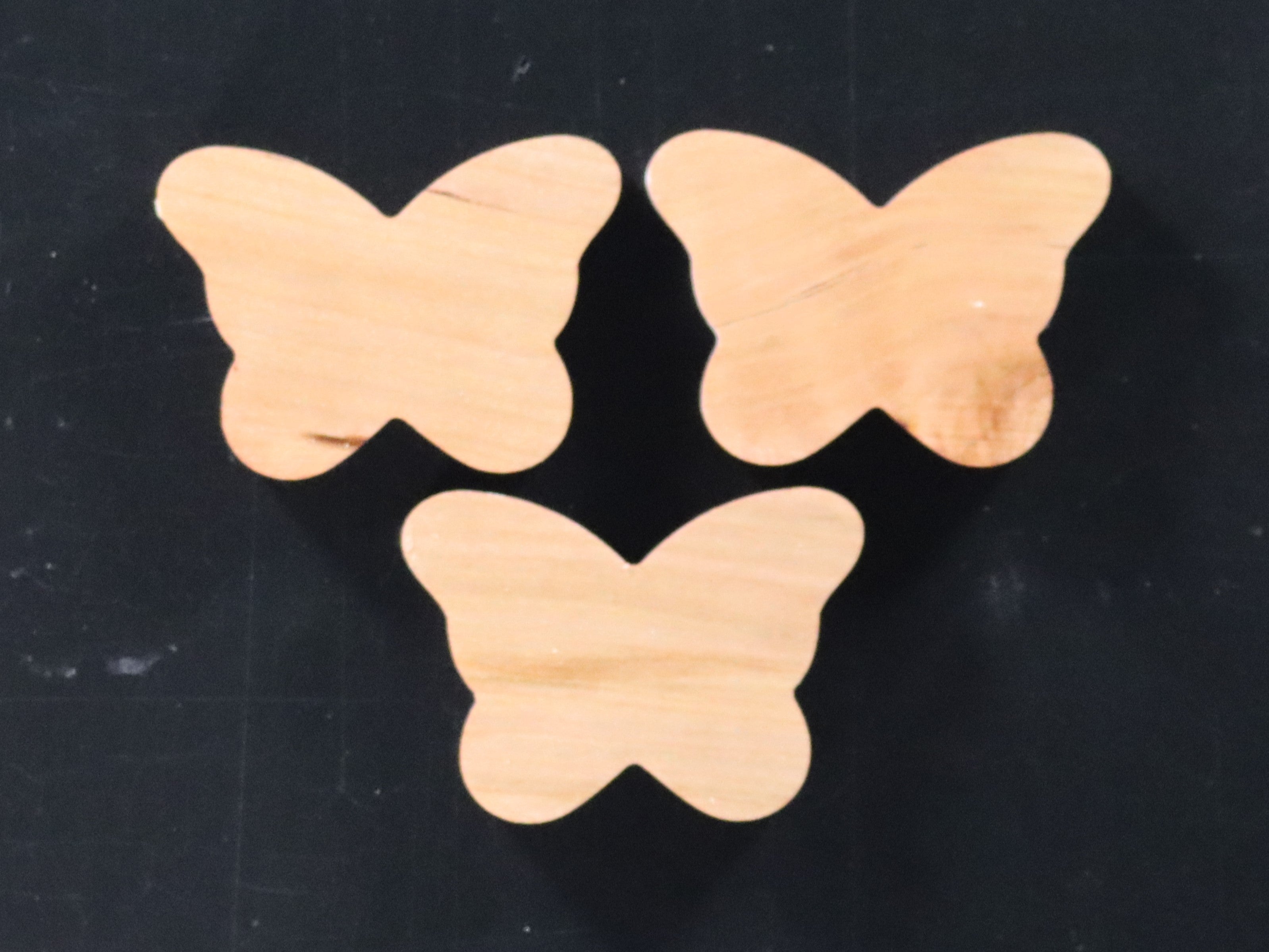 Butterfly Inlay