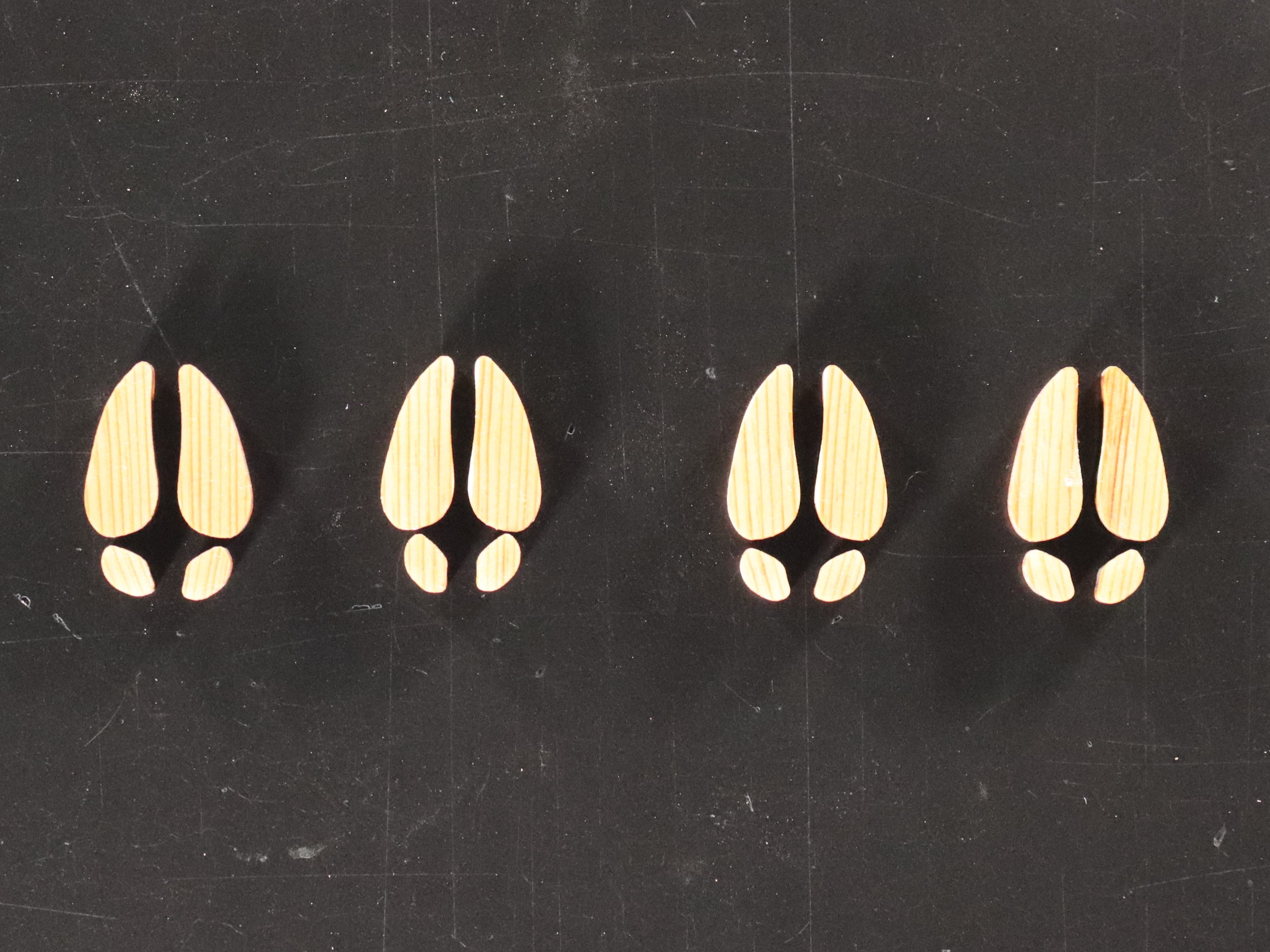 Deer Track Inlays | Various Wood Types | Slab Stitcher